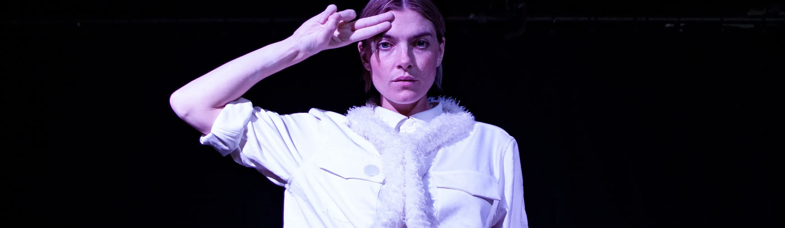 »Yetiland« - Nordische Botschaften